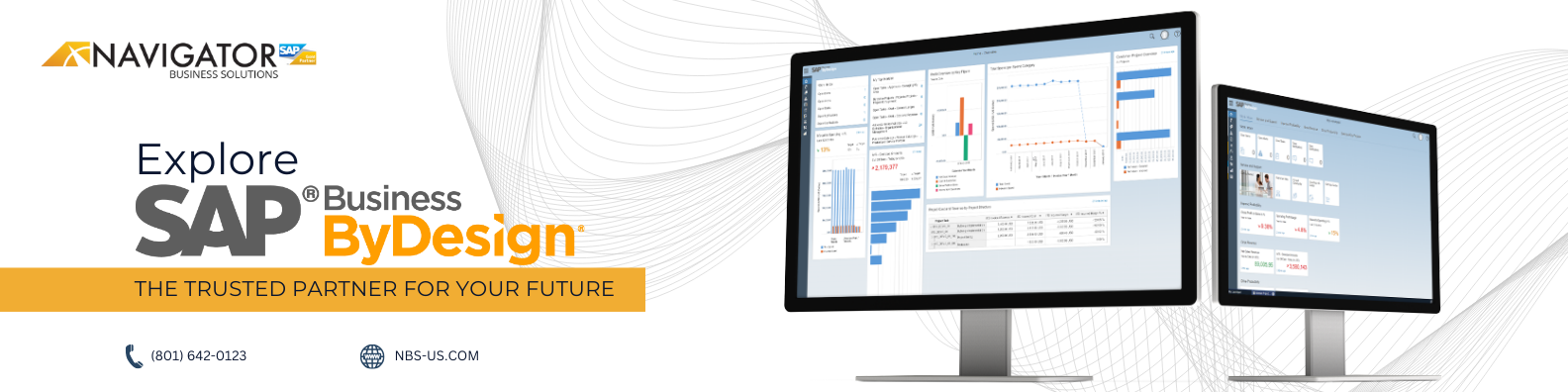 SAP Business ByDesign Consultants: Expert ByDesign Solutions